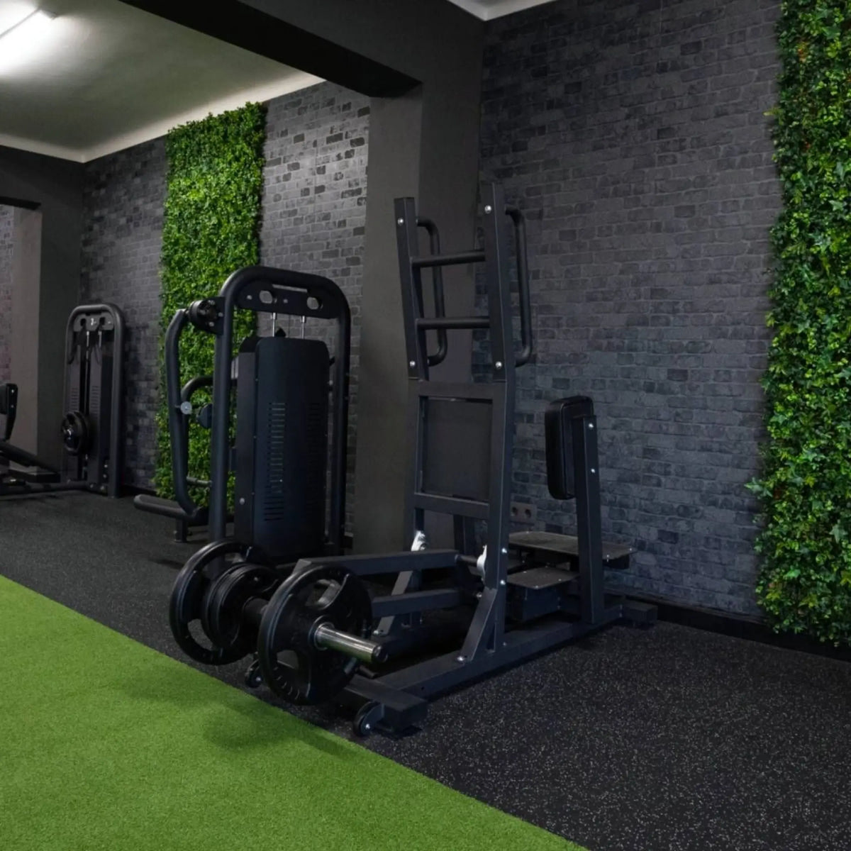 Titanium Strength Ultimate Abductor Standing Elite Series Profi ...